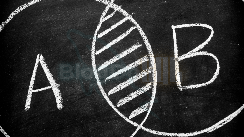 A Diferença Entre INNER JOIN, LEFT JOIN, RIGHT JOIN e FULL OUTER JOIN ...